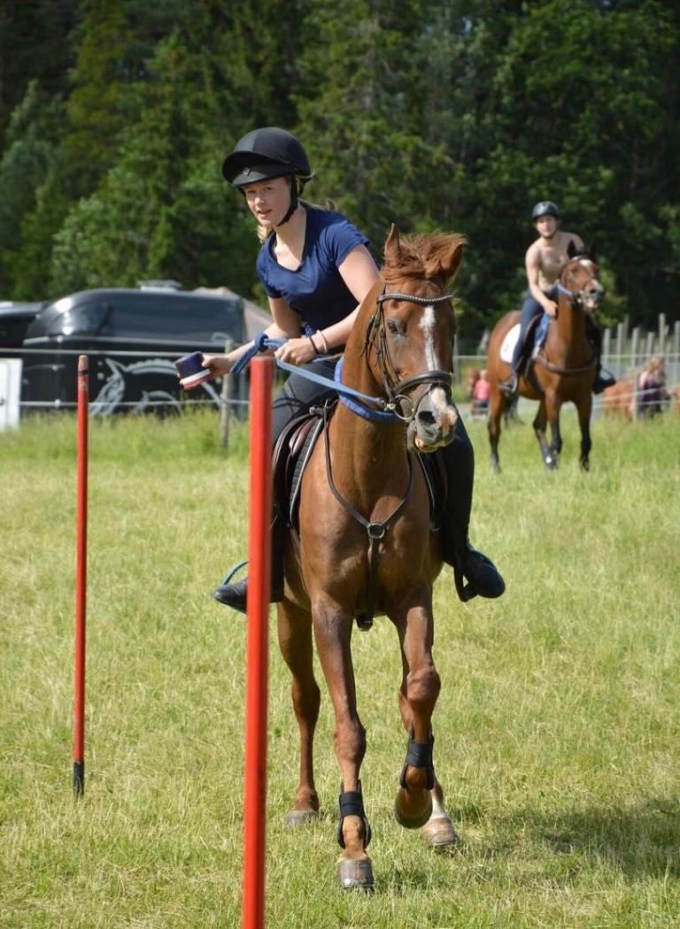 Yaman | StallSinnerud